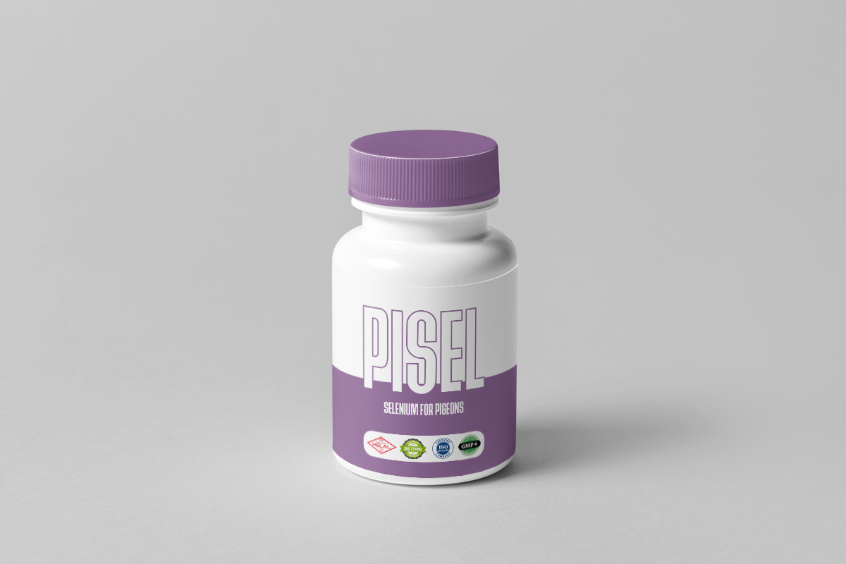 Pisel - Feedvit Chemistry Technologies